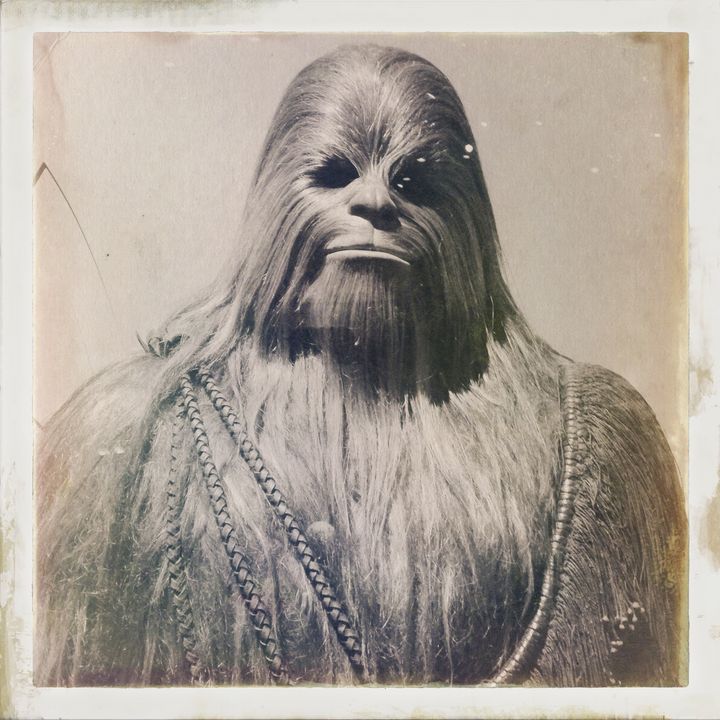 The Wookie - Hollingsworth - Photography, Entertainment, Movies ...