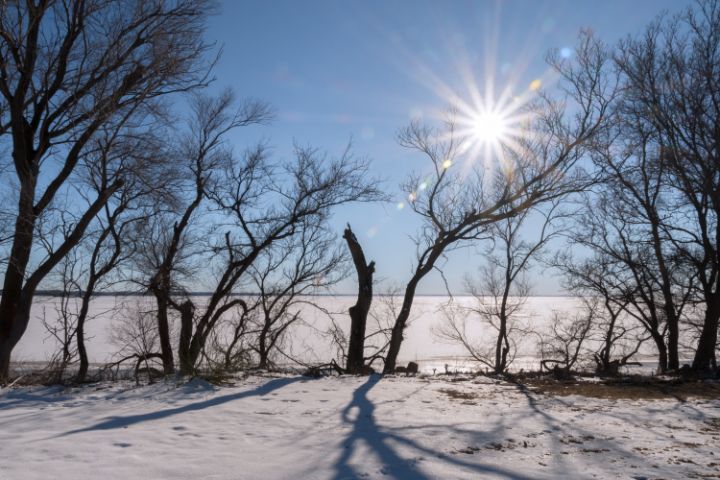 Sunshine On A Winter Day At the Lake - Debra Martz - Photography ...