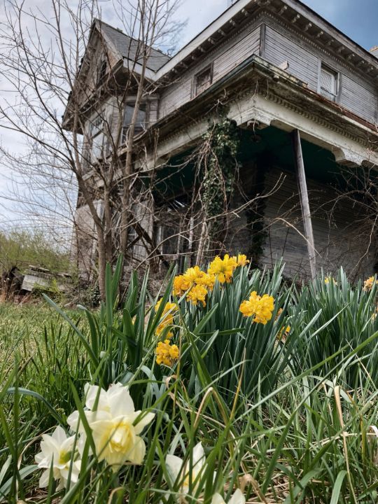 Life and Death Side By Side - Mike Wil - Photography, Buildings ...