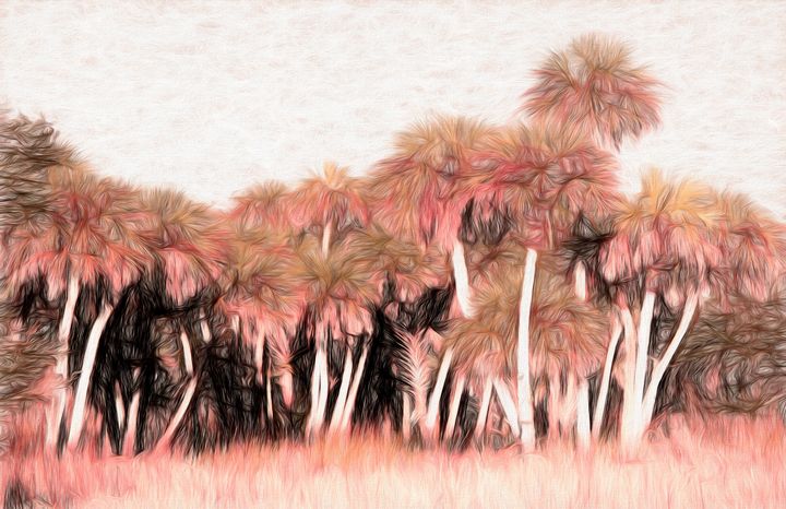 Painted Palm Tree Forrest - RosalieScanlonPhotography&Art - Digital Art ...