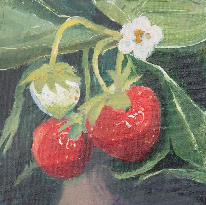 Vine Paintings Of Strawberries A Branch Of Strawberry. Engraving With