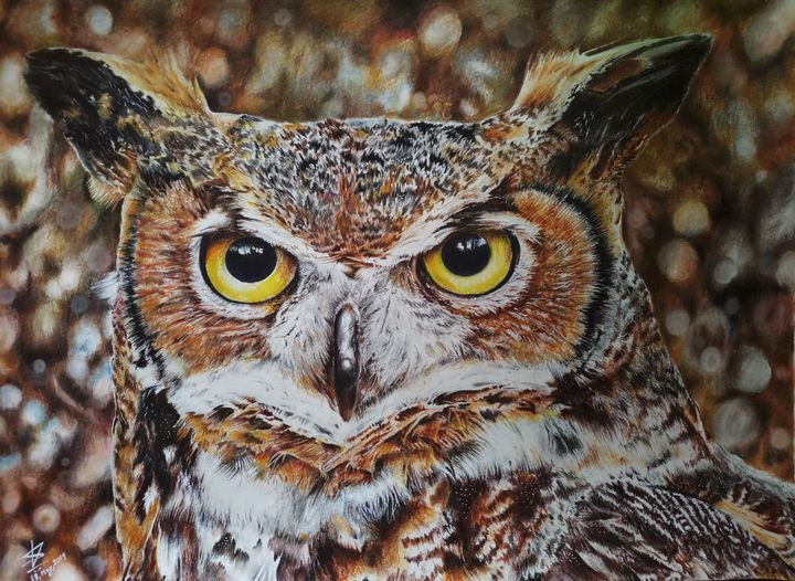 Owl Hyperrealism - Sumondragonslayer - Paintings & Prints, Animals ...