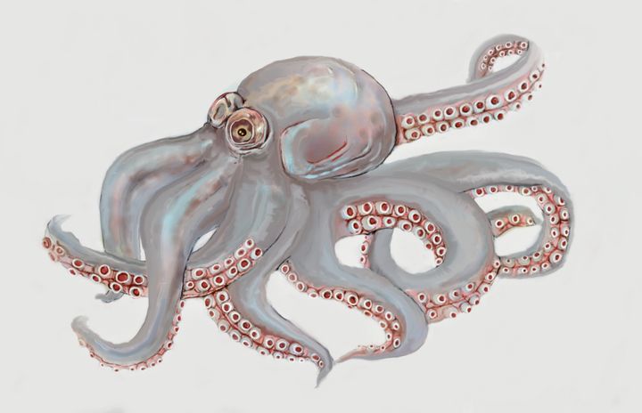 Octopus - Support Group for Introverts - Paintings & Prints, Animals ...