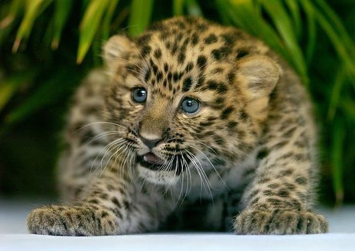 Im goona get you - Scott Bennett/Photoscapes Landscapes Ohio ...