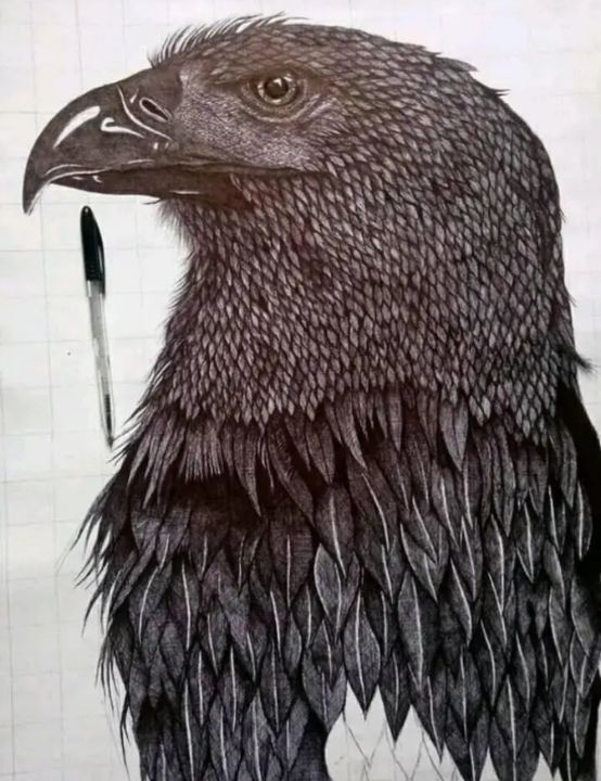 Courage of an eagle - Raphael arts - Drawings & Illustration, Animals ...