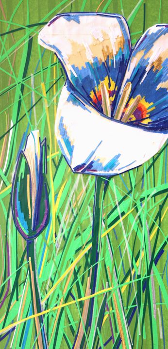 Tapeart of Sego Lily - Chad Farnes - Paintings & Prints, Flowers ...