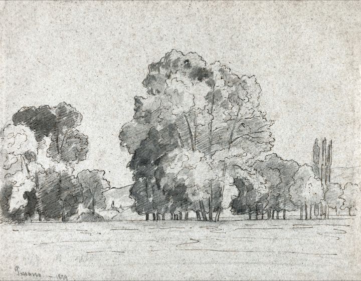 Grove of Trees - Blue Ribbon Art Gallery - Paintings & Prints, Flowers ...
