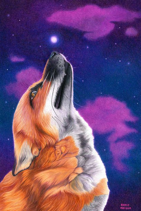 Finnegan Fox - Annie's Colored Pencil Art - Paintings & Prints, Animals ...