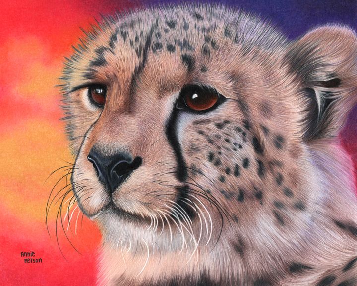 Cheetah Color Pencil Drawing