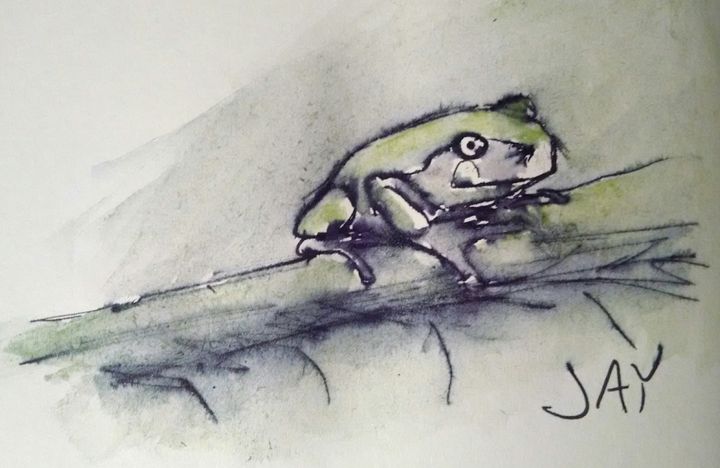 Green Pacific Tree Frog - JAYartwork - Paintings & Prints, Animals ...