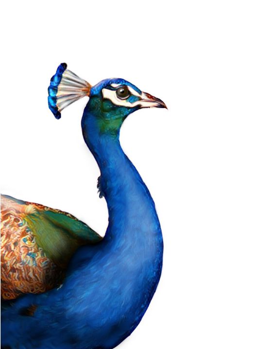 Royal Peacock #2 - Tomahto Art Studio - Digital Art & AI, Animals ...