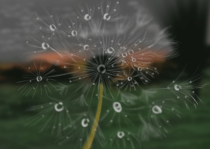 dandalions snow drop - crimson rei - Drawings & Illustration, Flowers ...