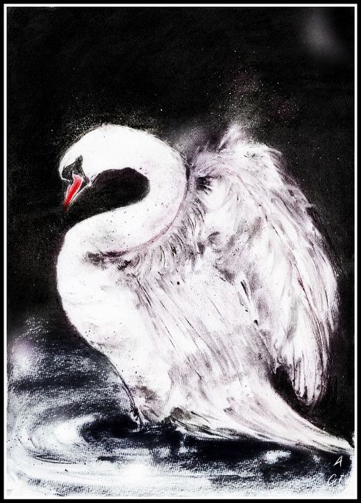 White Swan in magical waters - Alexa & Alan ~Secret World productions ...