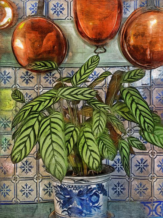 Scene From Monet's Kitchen - Photographic Artwork - Photography, Places ...