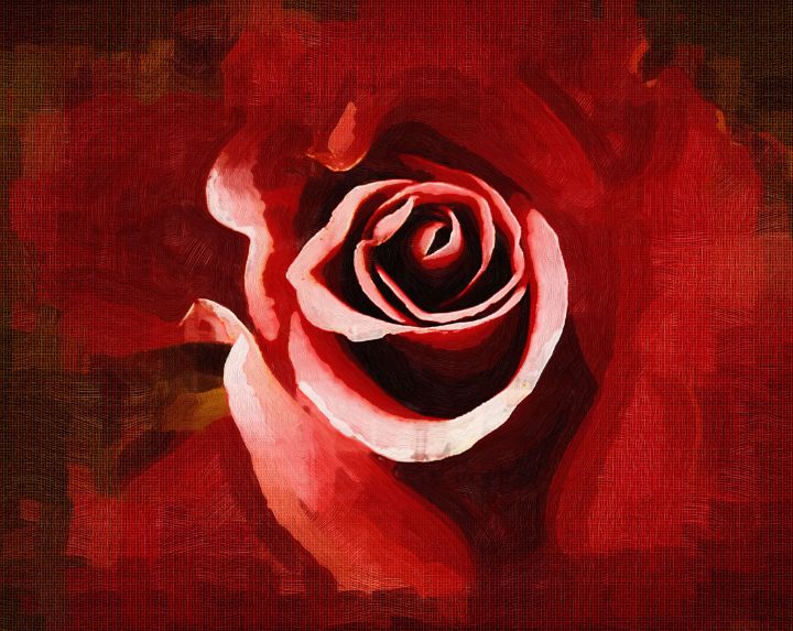 Imperfect Red Rose - Photographic Artwork - Photography, Flowers ...