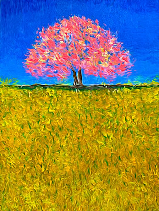 Vibrant Spring - Photographic Artwork - Photography, Abstract, Color ...