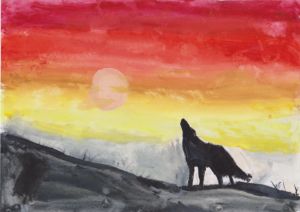 Rachel&Roland - Drawings & Illustration, Photography