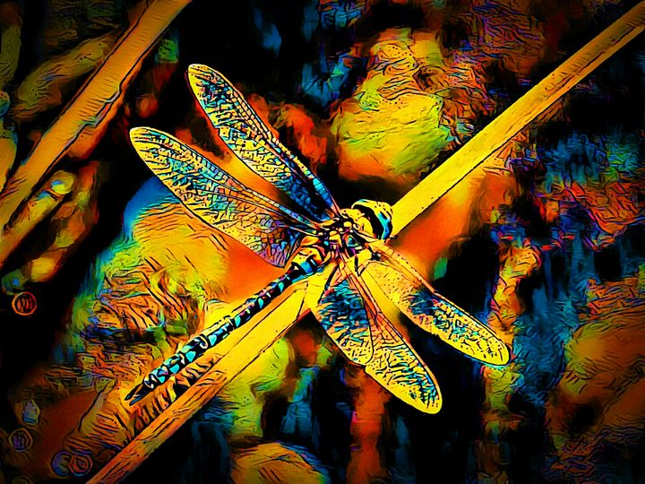 Rainbow Dragonfly - SAS Collection - Digital Art & AI, Animals, Birds ...