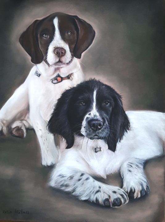 A pair of English springer spaniels. - PAWsitive art by Katia Holmes ...