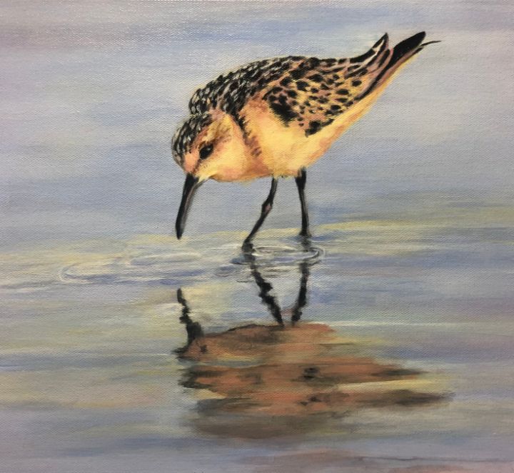 Loner Sandpiper - PatriciaBufkinartist1 - Paintings & Prints, Animals ...