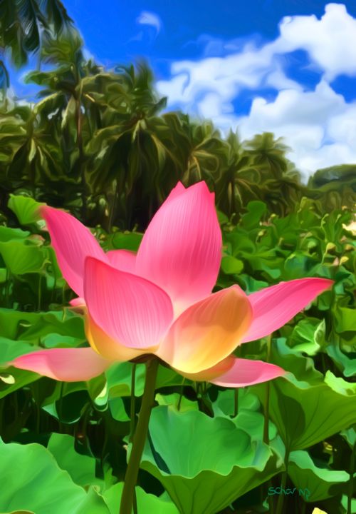 Peace Lotus - Aina Kauai Arts/ Schar Freeman - Digital Art & AI ...