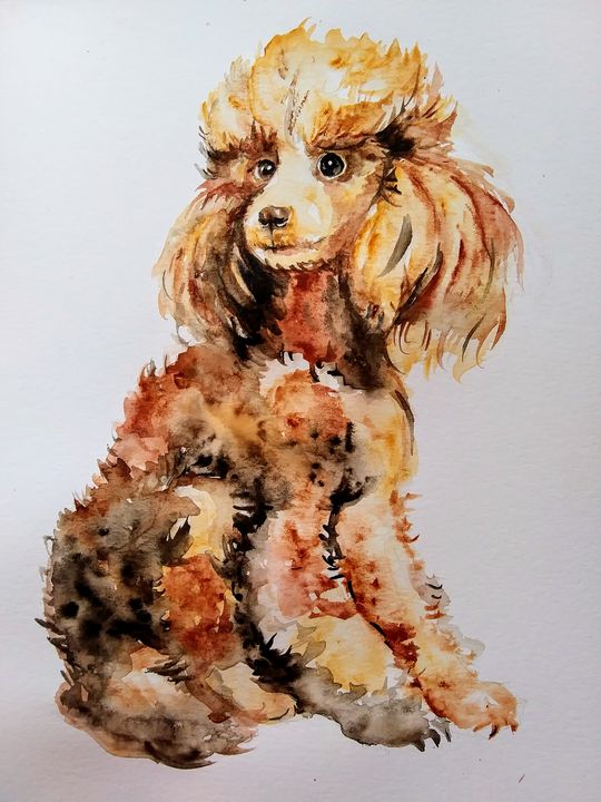 Phantom poodle dog art - Daniela - Paintings & Prints, Animals, Birds ...