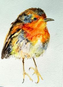 Colorful bird - Daniela - Paintings & Prints, Animals, Birds, & Fish ...