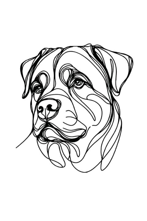 Doge Line Art