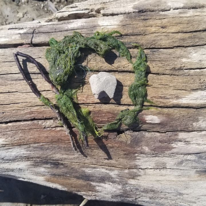 Lake Shore - Tooth Rock Art - Photography, Landscapes & Nature, Lakes ...