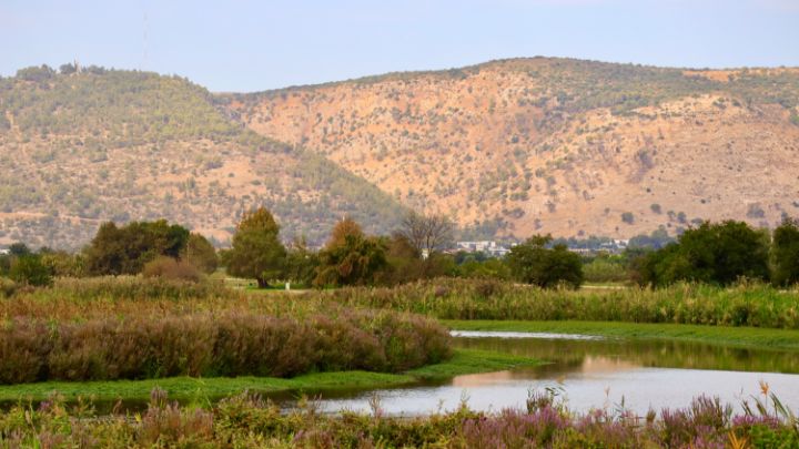 The early morning in a green valley - Ifrost - Photography, Landscapes ...