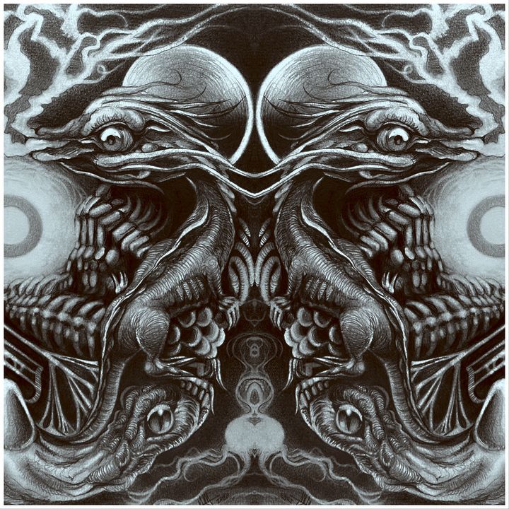 Grotesquely Symmetric - Nathan Moo - Drawings & Illustration, Animals ...