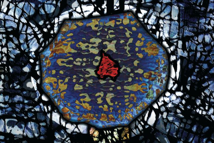 Pure Form no.25 - WildMe - Paintings & Prints, Abstract, Irregular ...