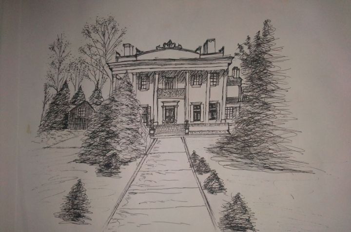 Rothy Dukes - Drawings & Illustration