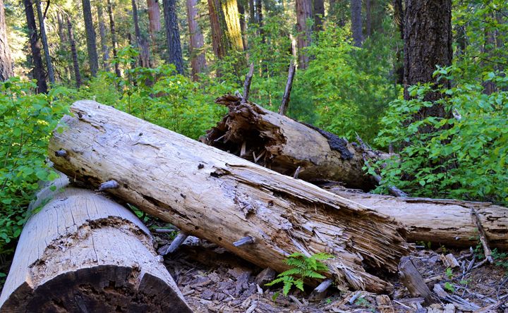 Sharp Edges - olivetree - Photography, Landscapes & Nature, Forests ...