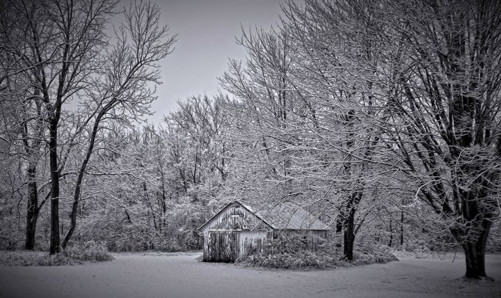 021618-1 - Mick's Pix Photos - Photography, Landscapes & Nature ...