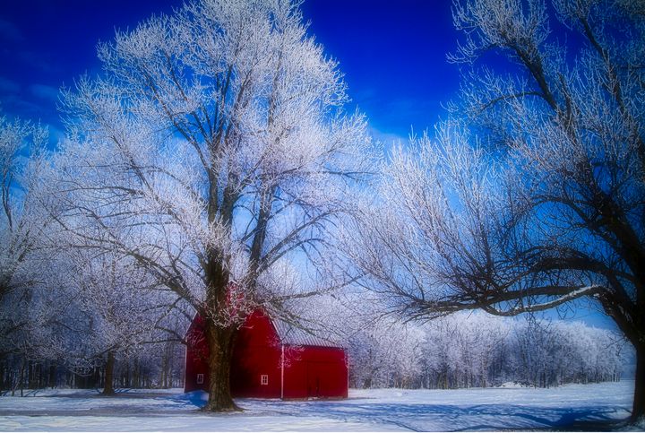 011819-2 - Mick's Pix Photos - Photography, Landscapes & Nature ...