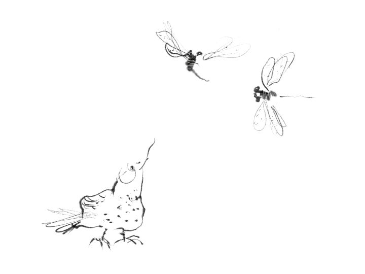 Cirkē - Drawings & Illustration