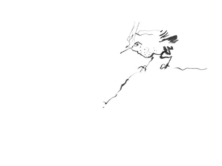 Cirkē - Drawings & Illustration