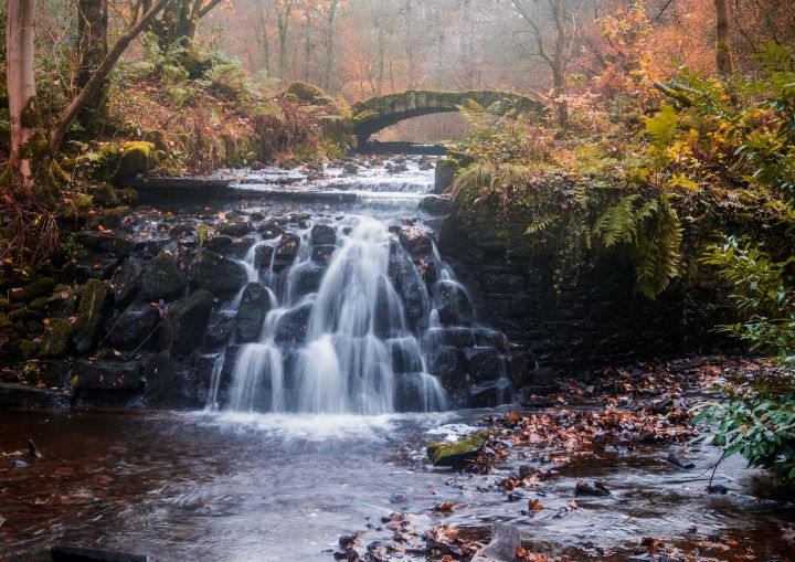 Autumn in Summerhurst Woods - Peter Jarvis - Photography, Landscapes ...