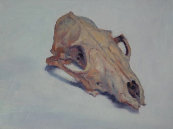 Fox Skull Sketch