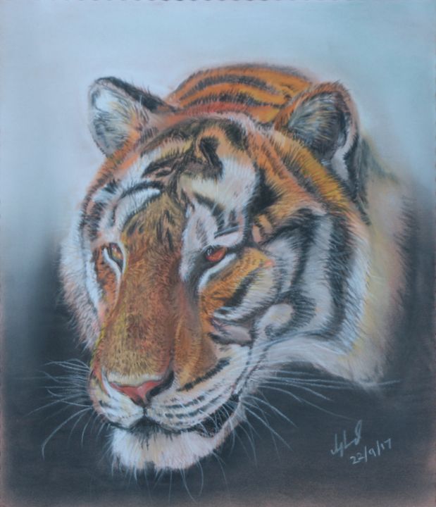 Dan Allured - Paintings & Prints