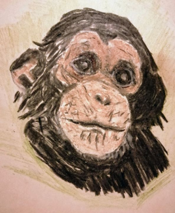 Congo the chimpanzee artist - Beverley - Drawings & Illustration ...