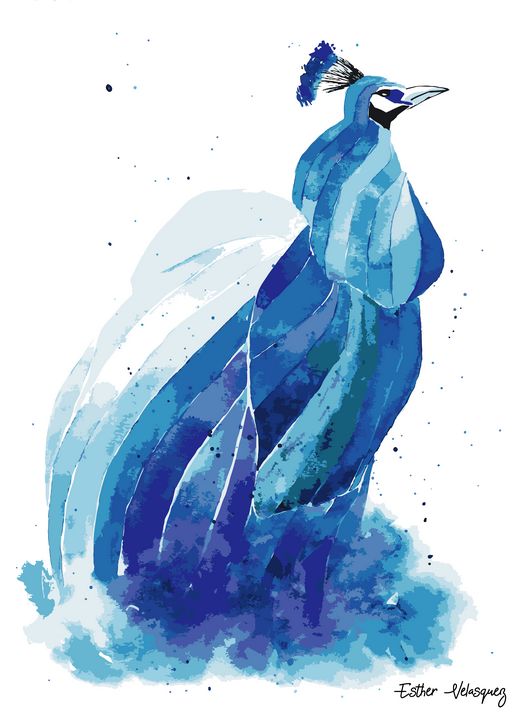 Aqua Royal Peacock - Esther Velasquez - Paintings & Prints, Animals ...