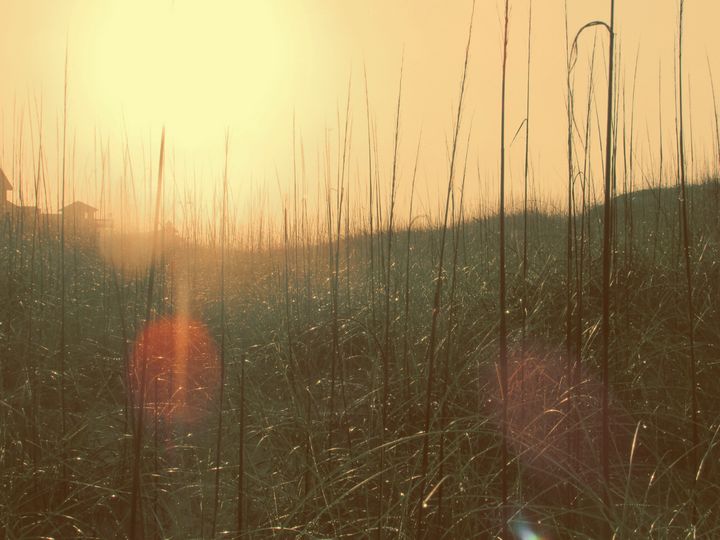 Haze Helps - Effect Cause - Photography, Landscapes & Nature, Beach ...