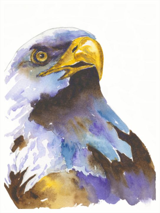 Mystic Eagle - Spirit of Creation Art by Corynne Hilbert - Photography ...