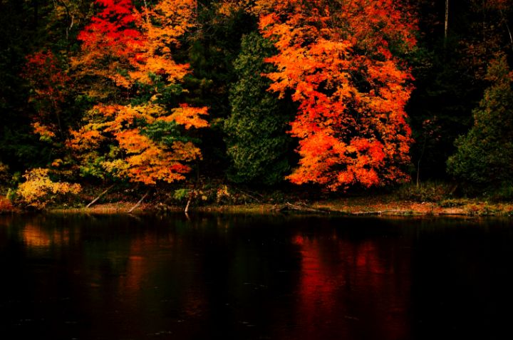 Matthew G - Photography