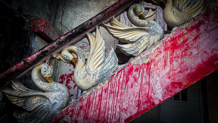 Ghost Swans of the Forgotten Hal - francois quartiers - Photography ...