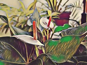 Anthurium flowers - Elai's Picarts - Paintings & Prints, Flowers ...