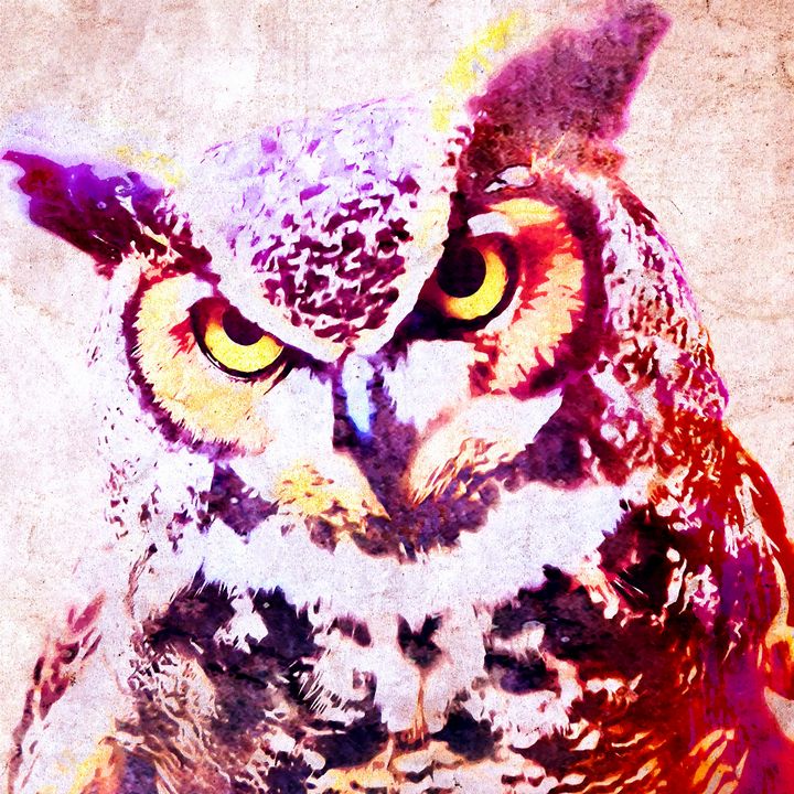 Wise Owl - Stacey Art Prints - Paintings & Prints, Animals, Birds ...