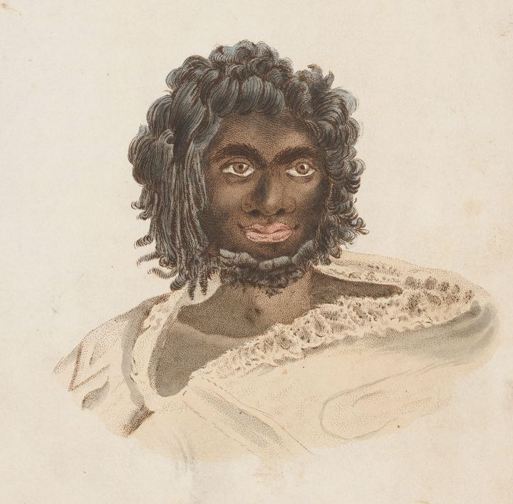 John Lewin and Moses Griffith (engra - Artmaster - Paintings & Prints ...